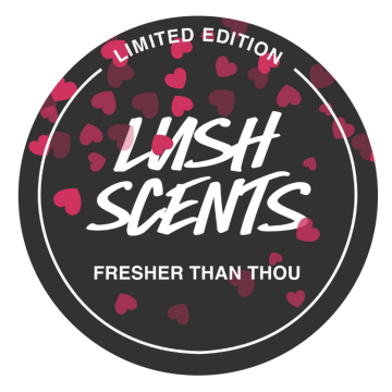 Lush Upon A Time – In depth reviews of Lush products, new and old!